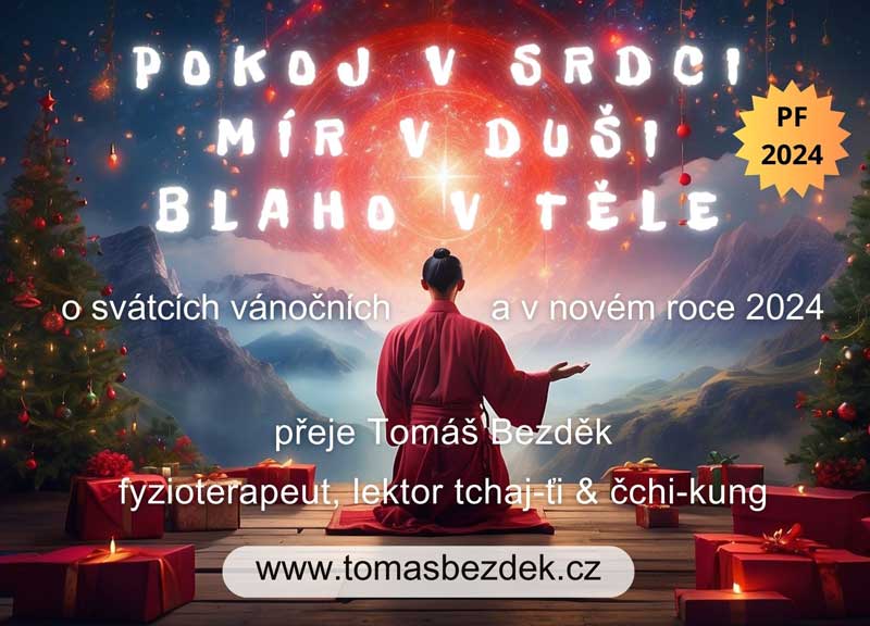 Fyzioterapie Plzeň | Chiropraxe a Náprava Pohybového Aparátu | Taiči a ...